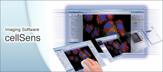 Software de achizitie si analiza a imaginii cellSens - Temco